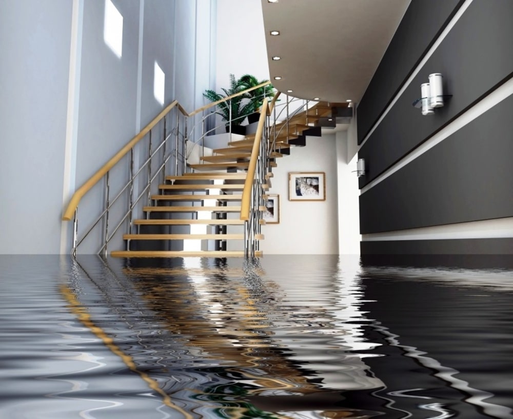 Understanding the Different Types of Water Damage and How to Respond ...