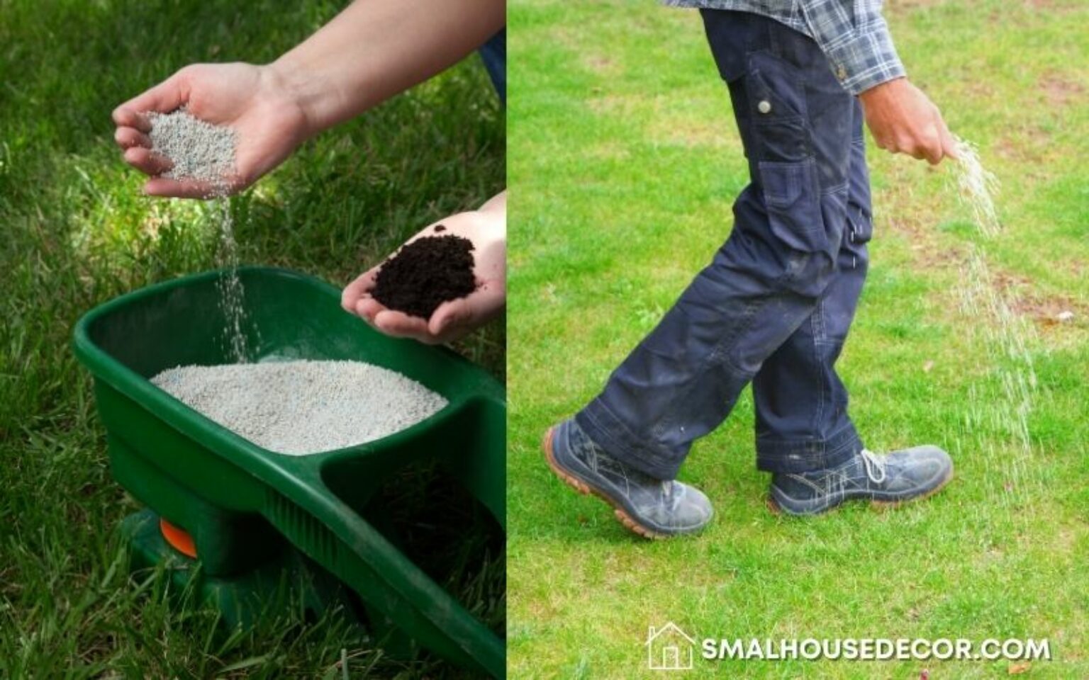 6 Reasons Why Your Lawn Needs Routine Fertilization - Small House Decor