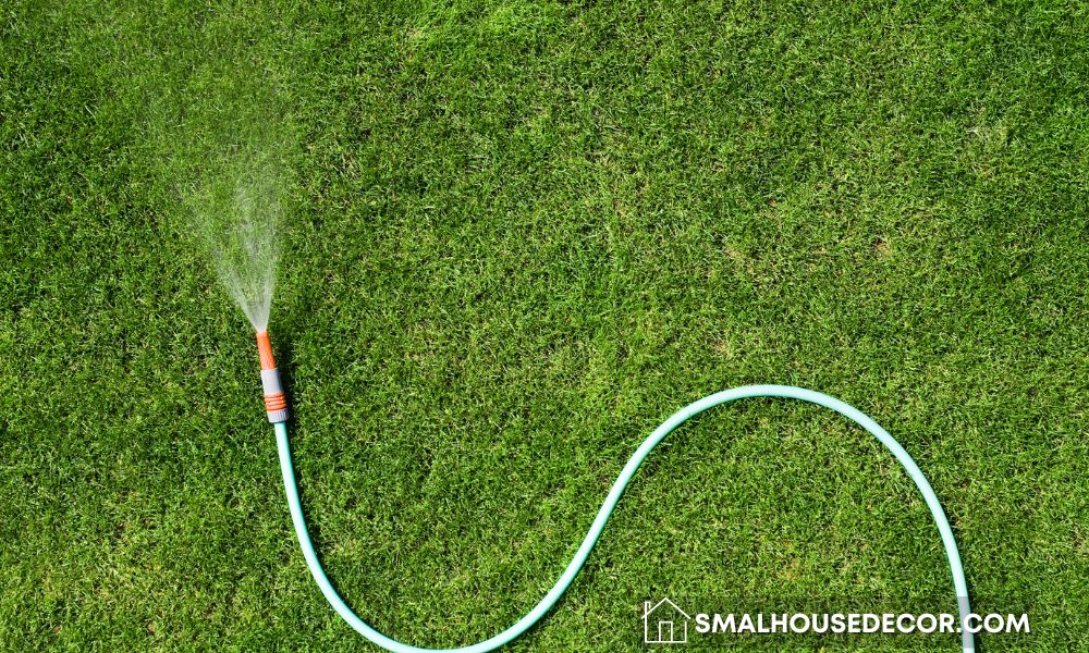 The Ultimate Guide To Buying And Maintaining Garden Hoses - Small House ...